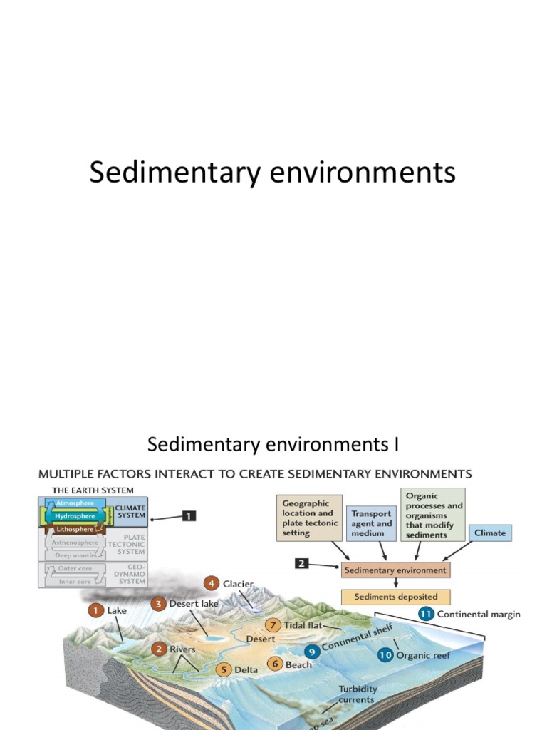 Sedimentary Environments | PDF | Sedimentary Rock | Sedimentology