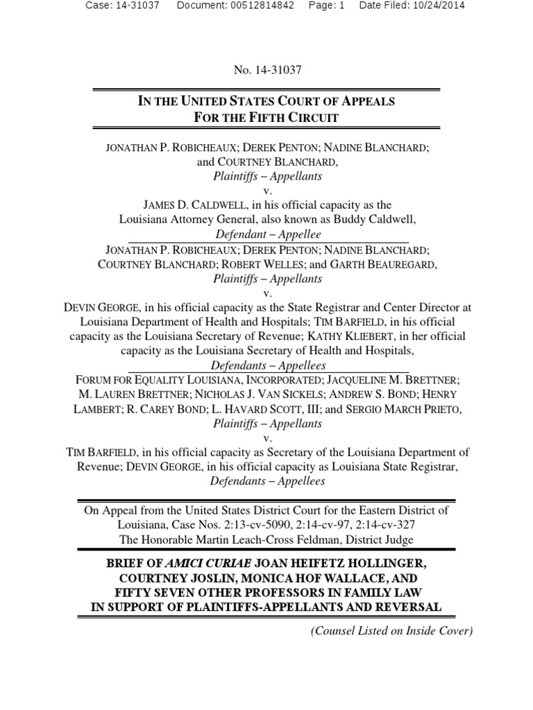Amicus Brief - Scholars of Family Law | PDF | Amicus Curiae | Marriage Amicus Brief - Scholars of Family Law | PDF | Amicus Curiae | Marriage