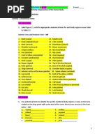 Anatomical Position Worksheet | PDF | Anatomical Terms Of Location ...