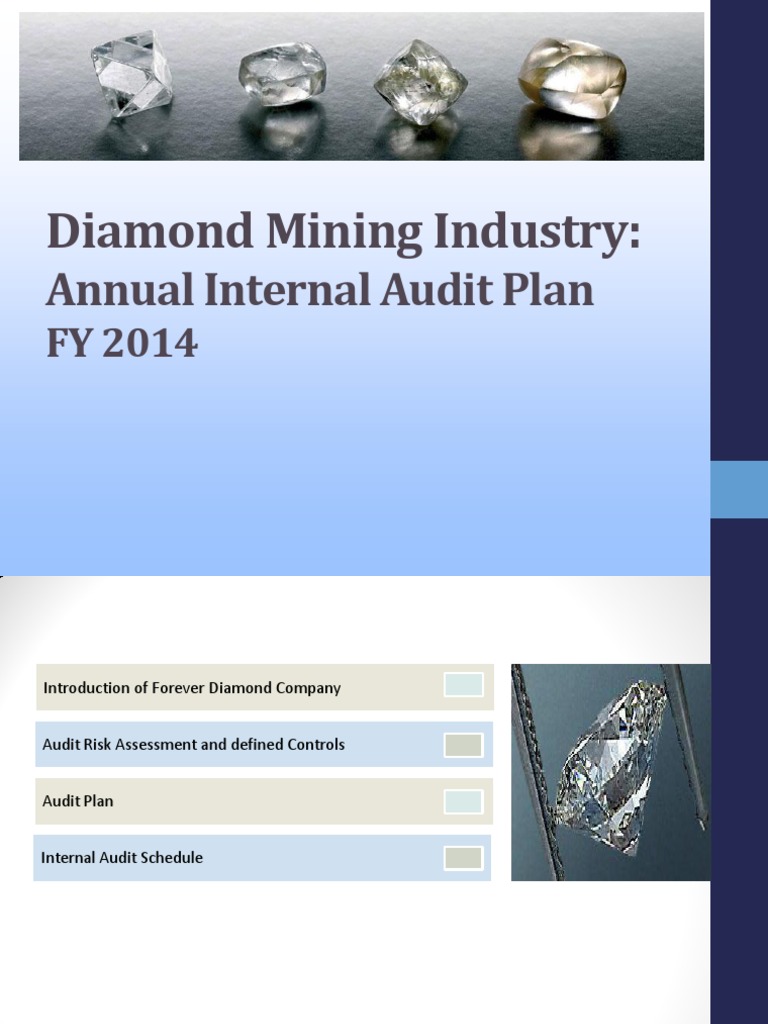 Diamond Industry Audit Plan FY 2014 | PDF | Diamond | Risk
