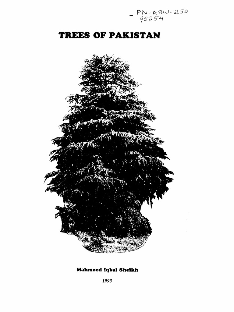 Overview of Trees in Pakistan | PDF | Trees | Pinophyta