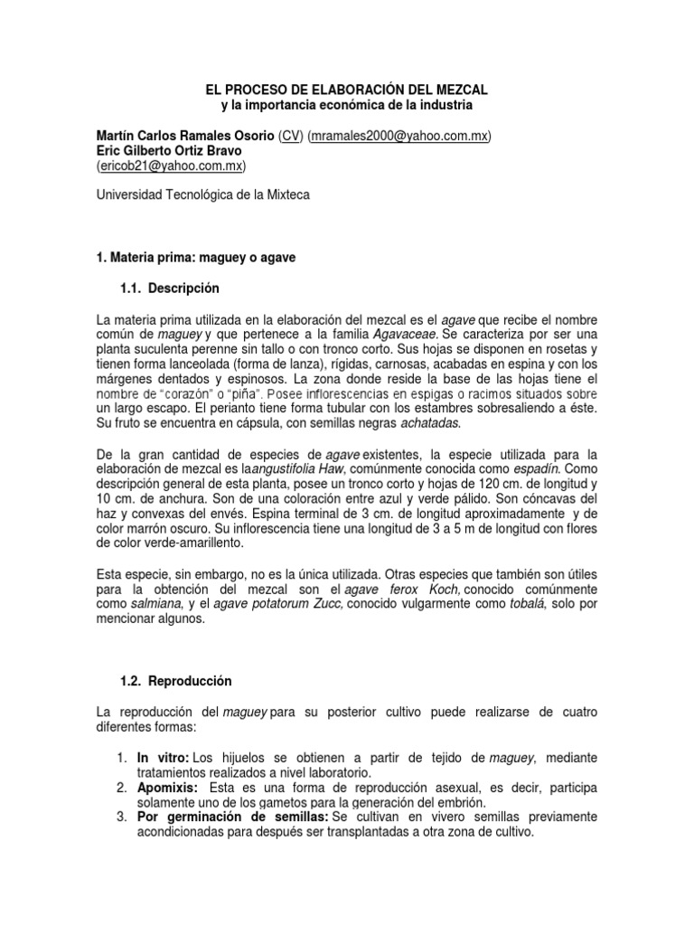 Proceso de Elaboración del Mezcal | PDF | Destilación | Agua