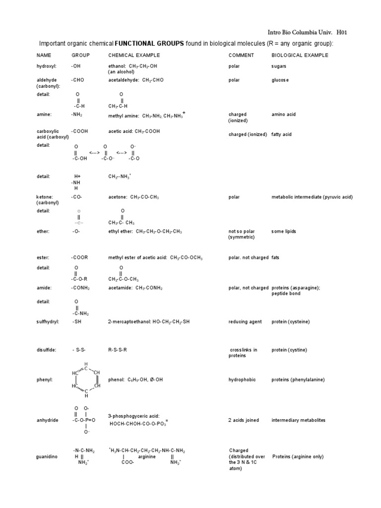 Functional Groups | PDF