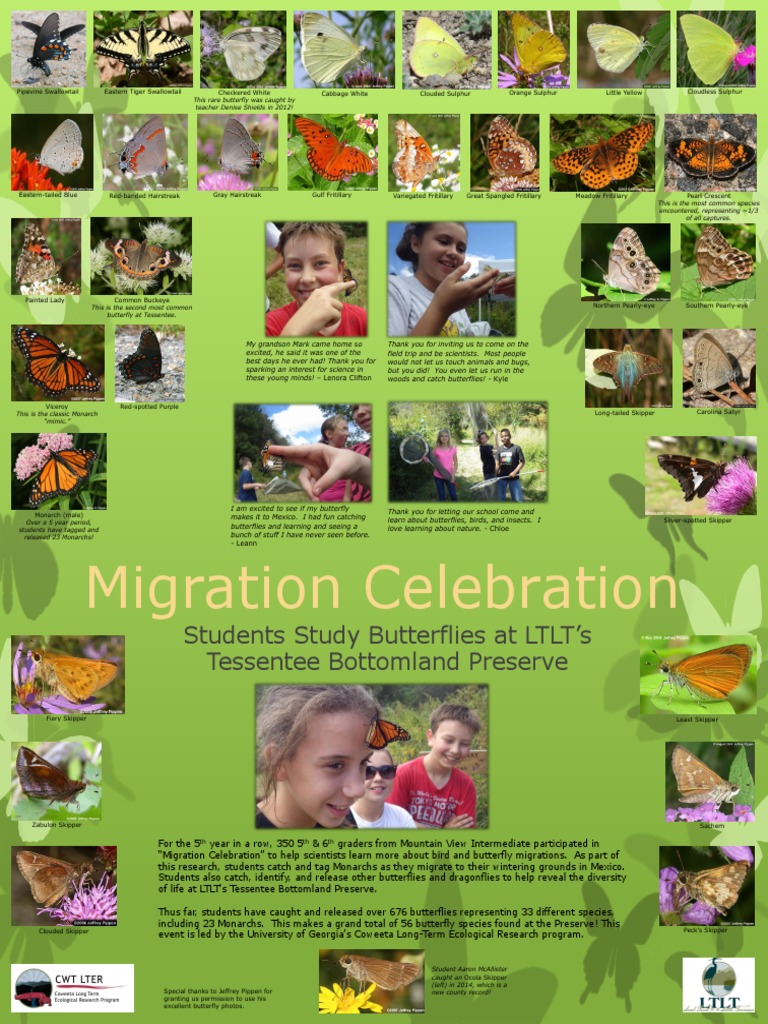 Migration Celebration 2014 Poster | PDF | Butterfly | Insect Orders
