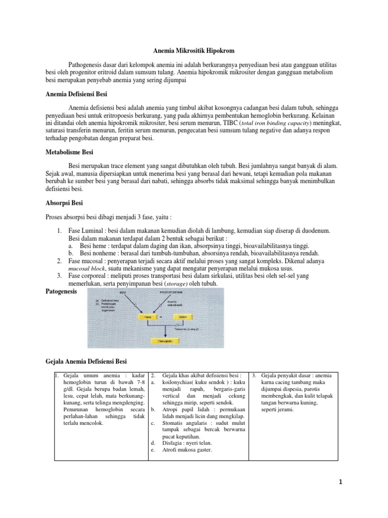 Anemia Mikrositik Hipokrom | PDF