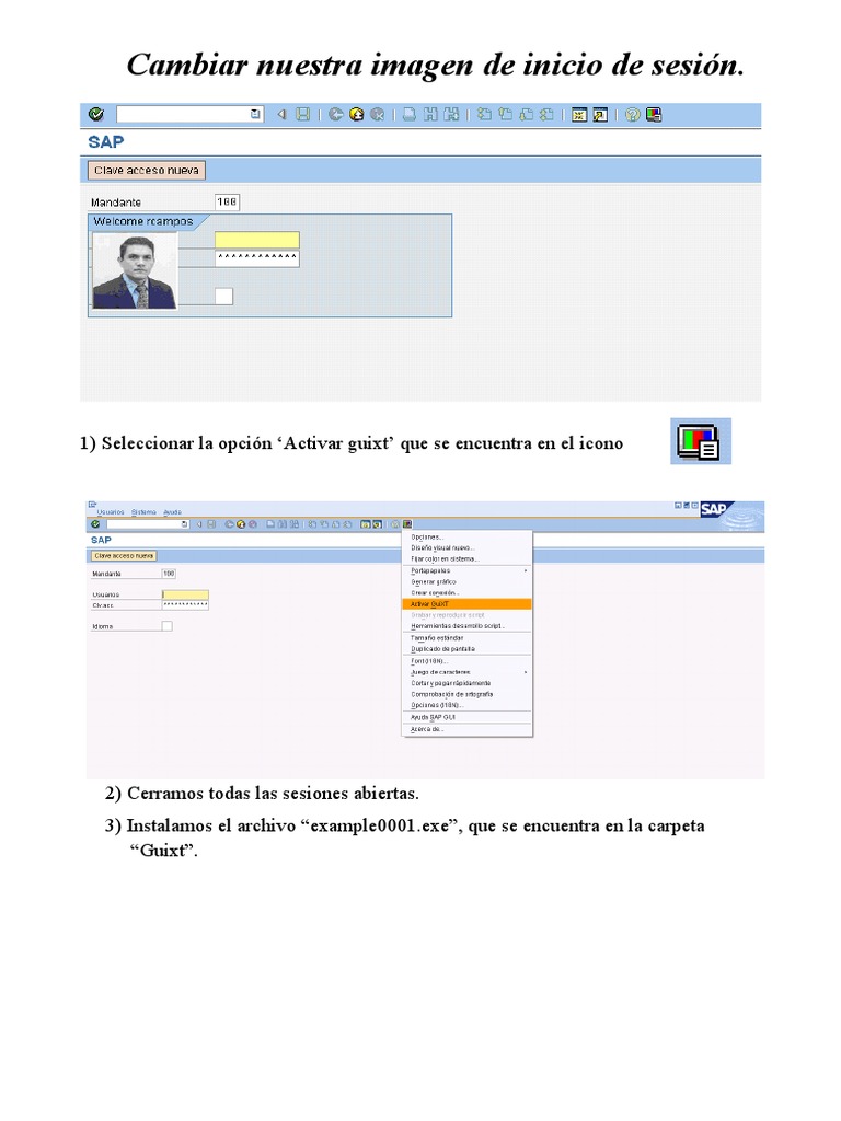 GuiXT (SAP) PDF | PDF | Informática | Software