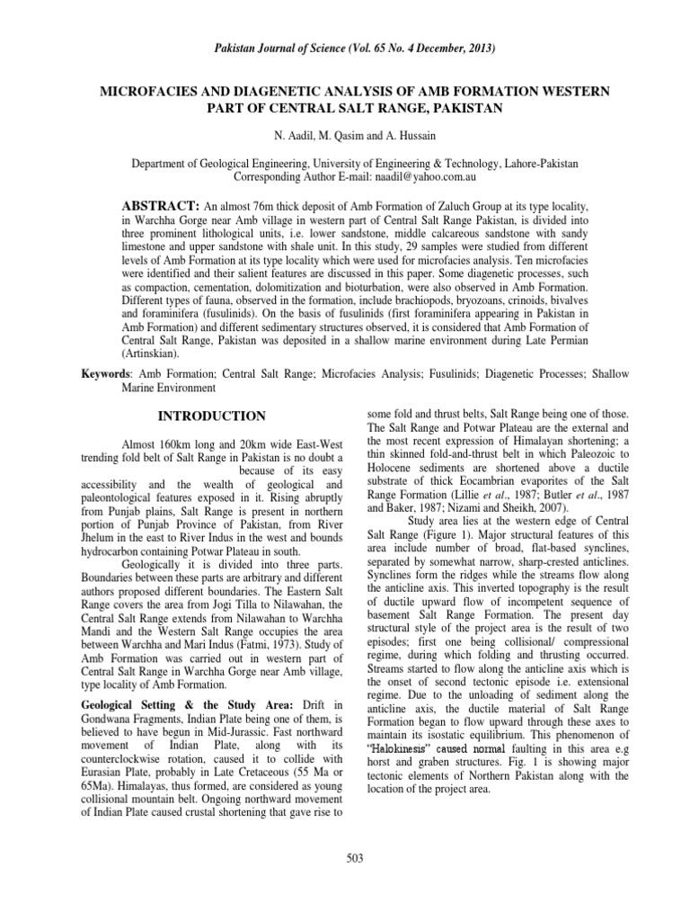 Microfacies and Diagenetic Analysis of Amb Formation | PDF ...