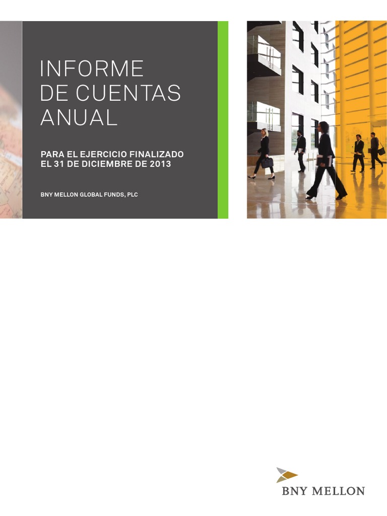 Informe Anual 2014 PDF | PDF | Contabilidad | Auditoría financiera