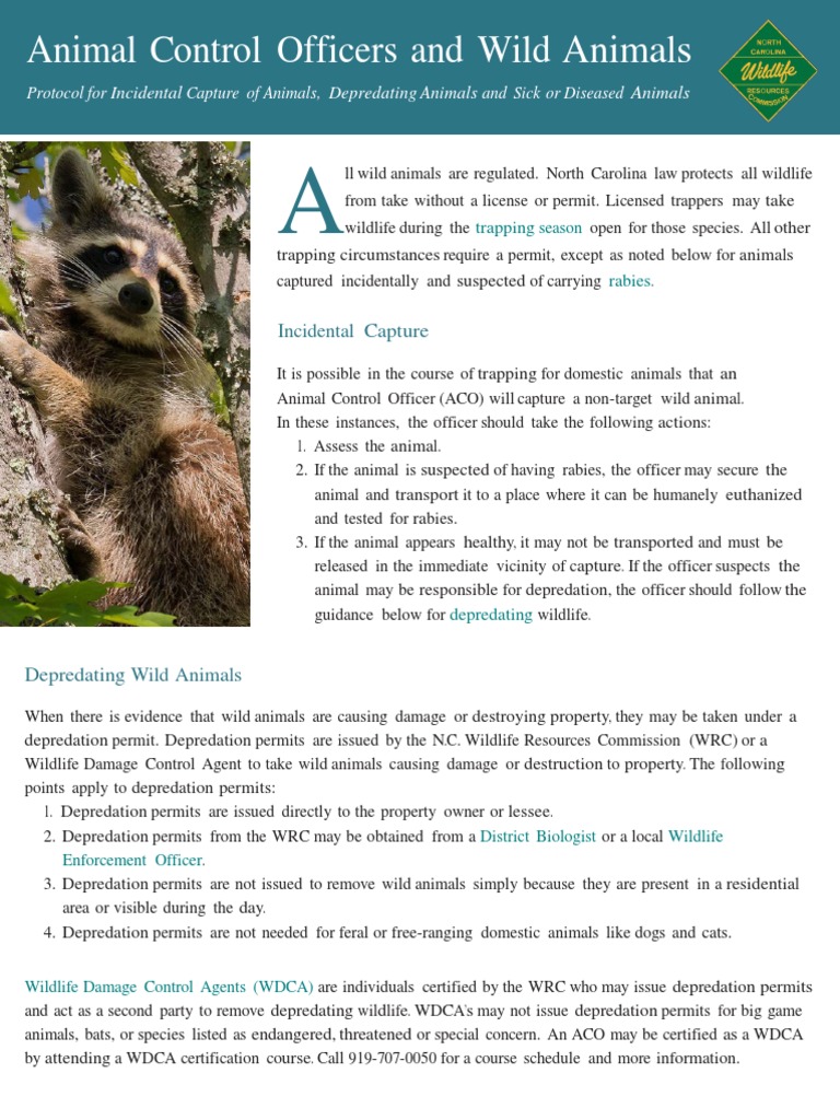 Animal Control Officers and Wild Animals: Incidental Capture | PDF ...