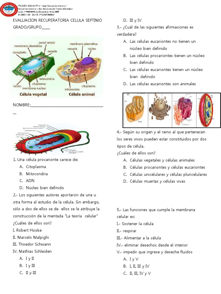 Diagrama De Célula Vegetal Libro De Ciencias De Séptimo Grado