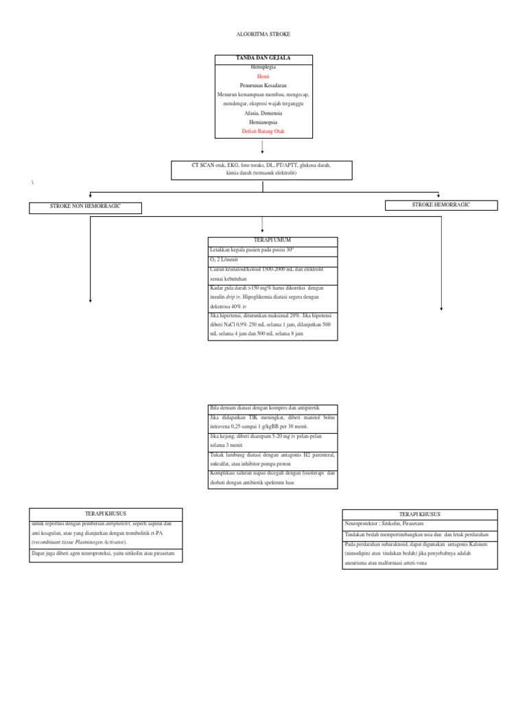 Algoritma Stroke | PDF