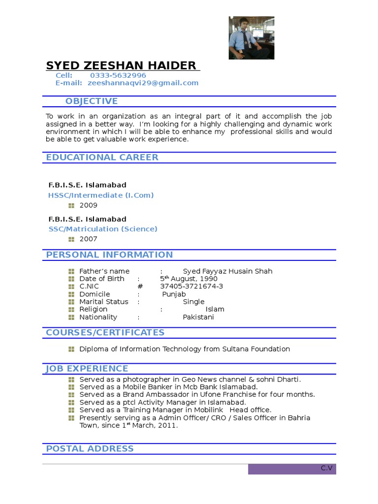 Professional Resume for Job Seekers | PDF | Career & Growth | Computers