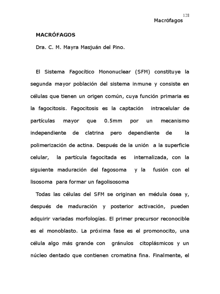 12 Macrófagos | PDF | Célula T | Macrófago