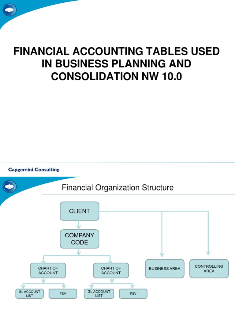 Financial Accounting Tables Used In Business Planning And Consolidation ...