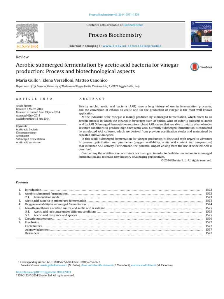 Aerobic Submerged Fermentation by Acetic Acid Bacteria For Vinegar ...