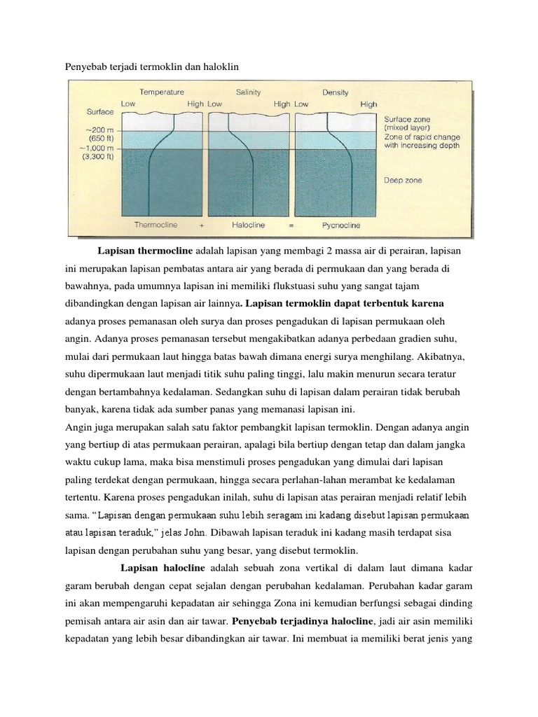 Penyebab Terjadi Termoklin Dan Haloklin | PDF | Ilmu Sosial | Sains ...