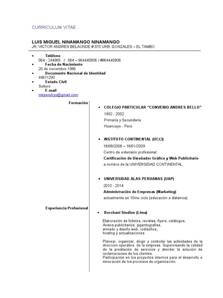 Curriculum Vitae Luis M. Ninamango N. | PDF | Servicio al Cliente | Marketing