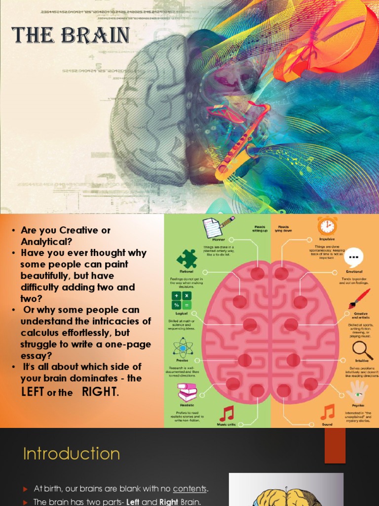The BRAIN | PDF
