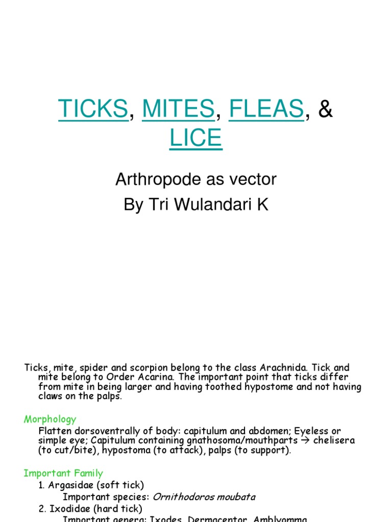 Tick and Lice Vectors Overview | PDF | Wellness | Medical