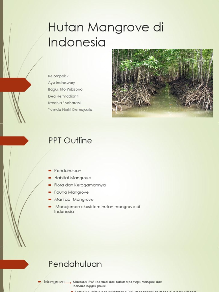 Karakteristik Hutan Mangrove Indonesia | PDF