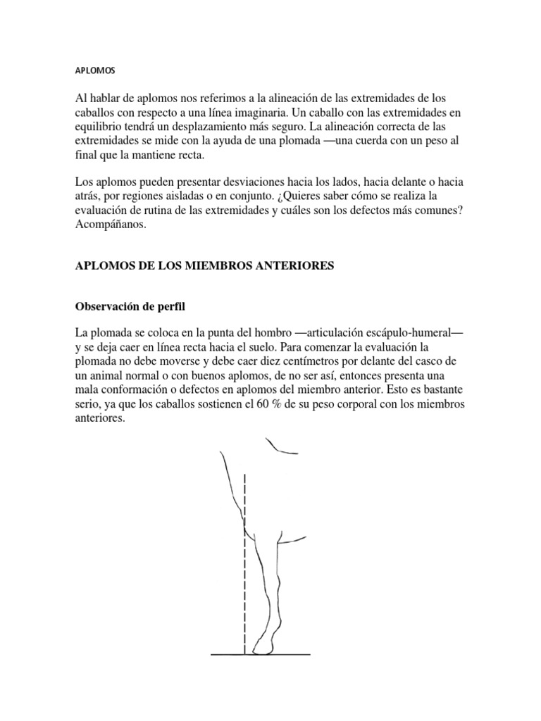 Evaluación de Aplomos en Caballos | PDF | Rodilla | Caballos