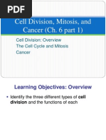 snc2d Test Review | PDF | Cell (Biology) | Cancer