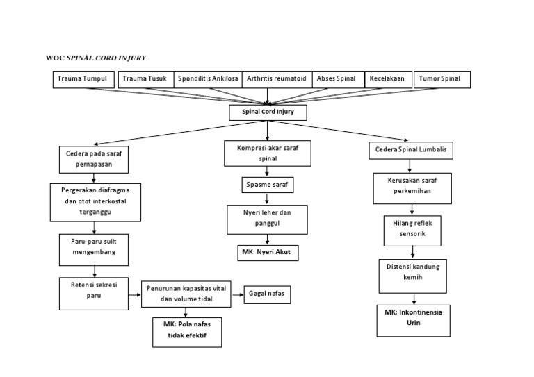 Woc Sci (Spinal Cord Injury) | PDF