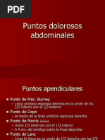 Ángulo de Louis | PDF | Tórax | Anatomía humana