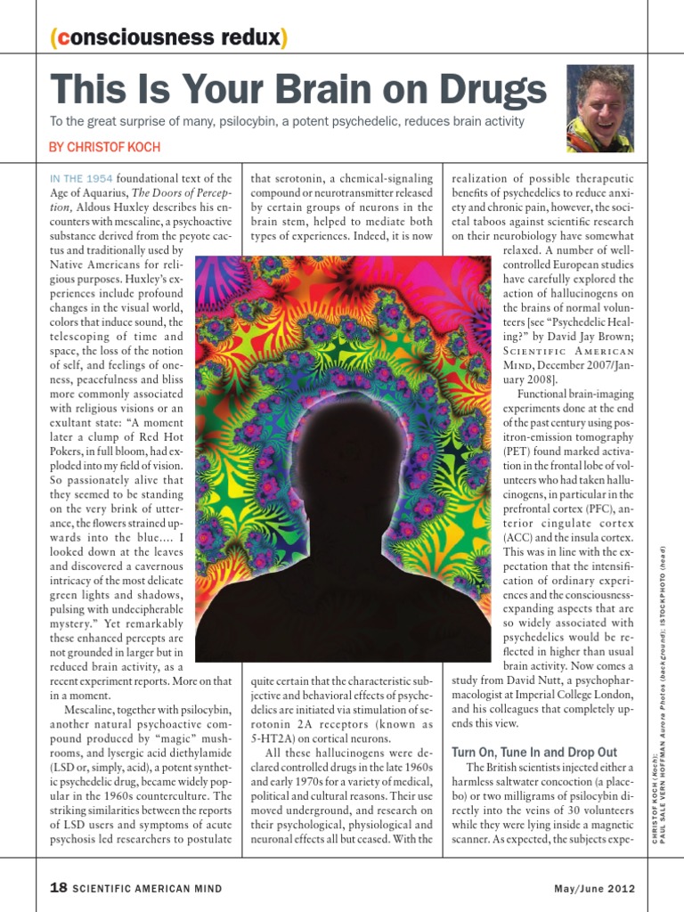 This Is Your Brain On Drugs | PDF | Hallucinogen | Psychedelic Drugs