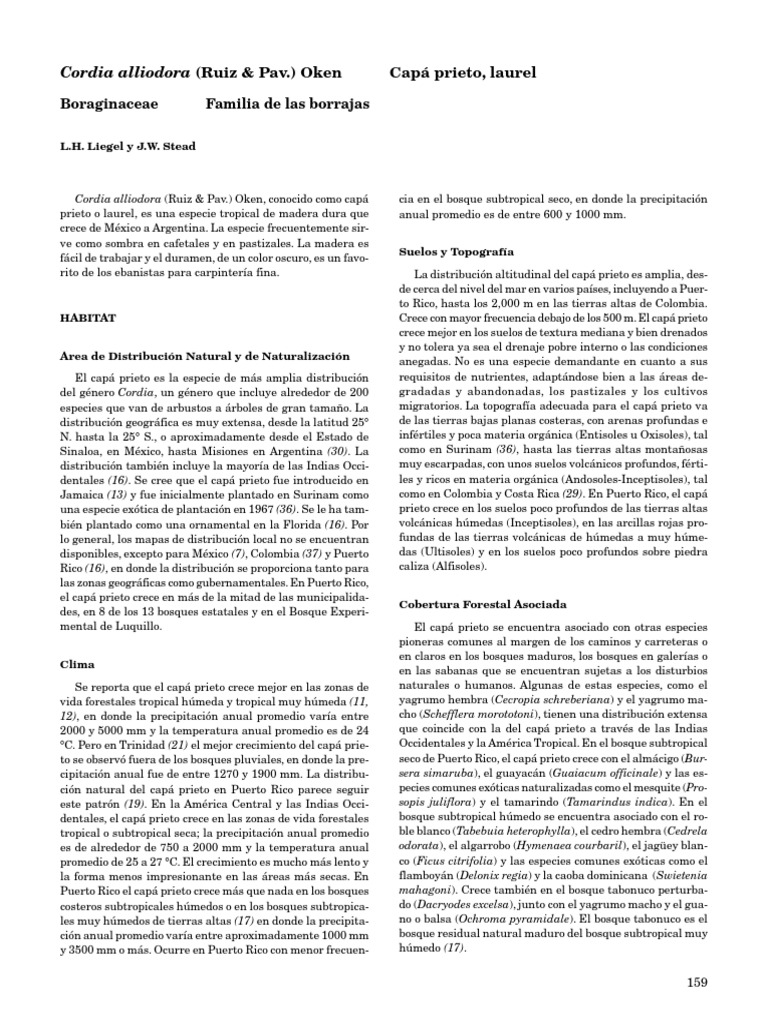 Capa Prieto | PDF | Arboles | Los bosques