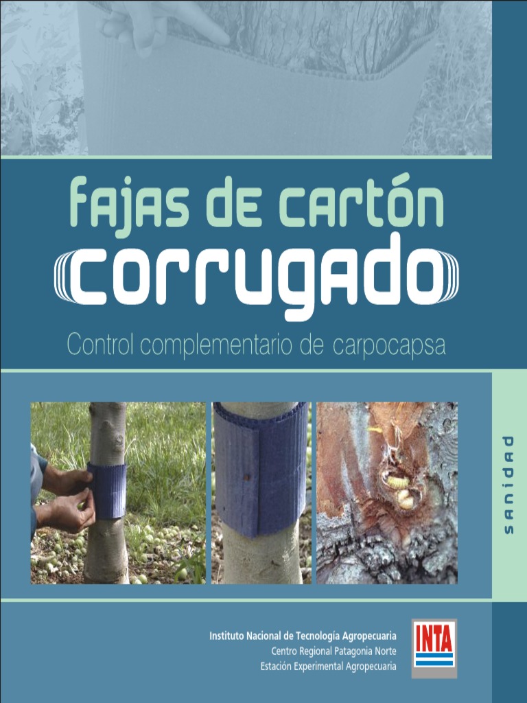 Control de Carpocapsa - Fajas - Carton - Corrugado | PDF | Naturaleza