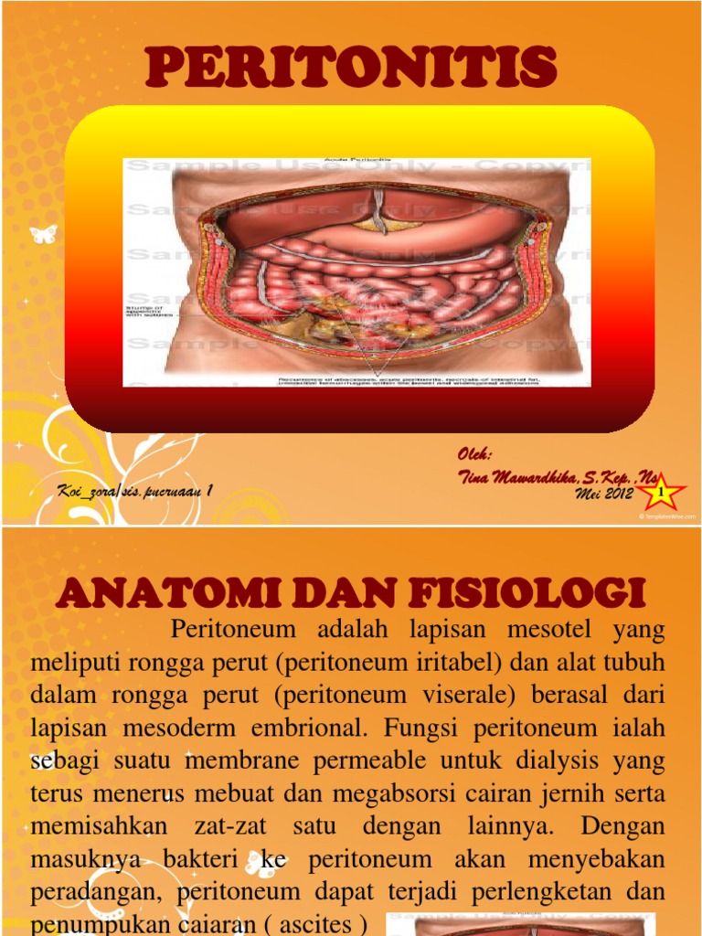Fungsi Peritoneum dalam Peritonitis | PDF | Kesehatan Holistik | Sains ...