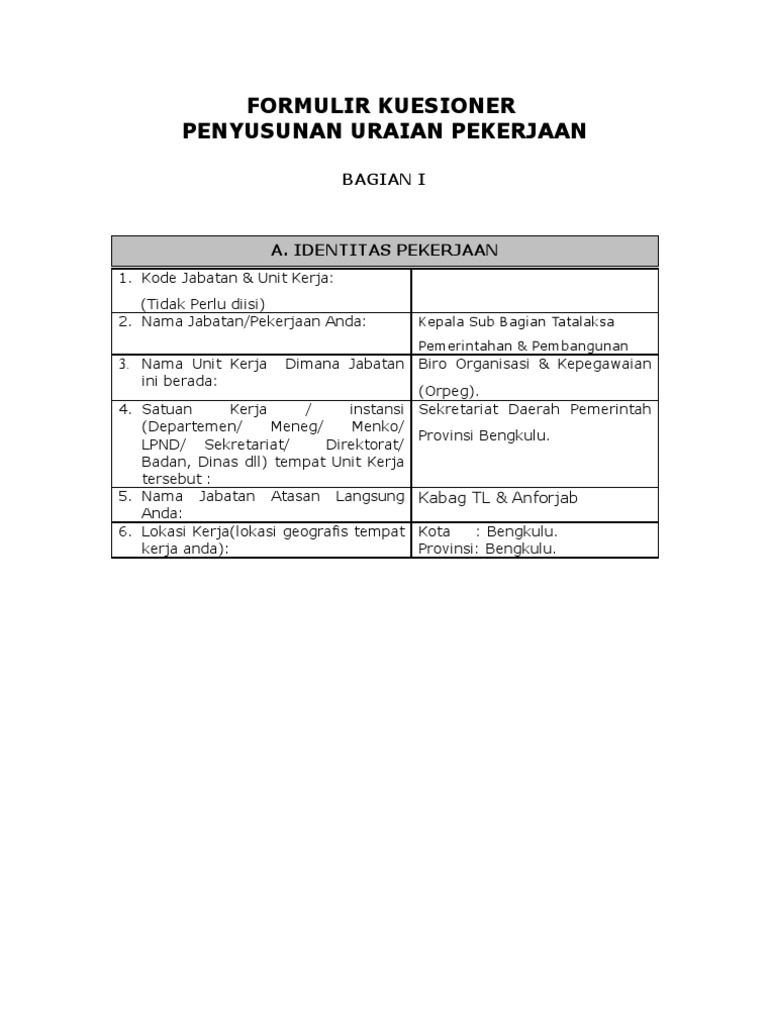 Form Anjab - Penyempurnaan | PDF