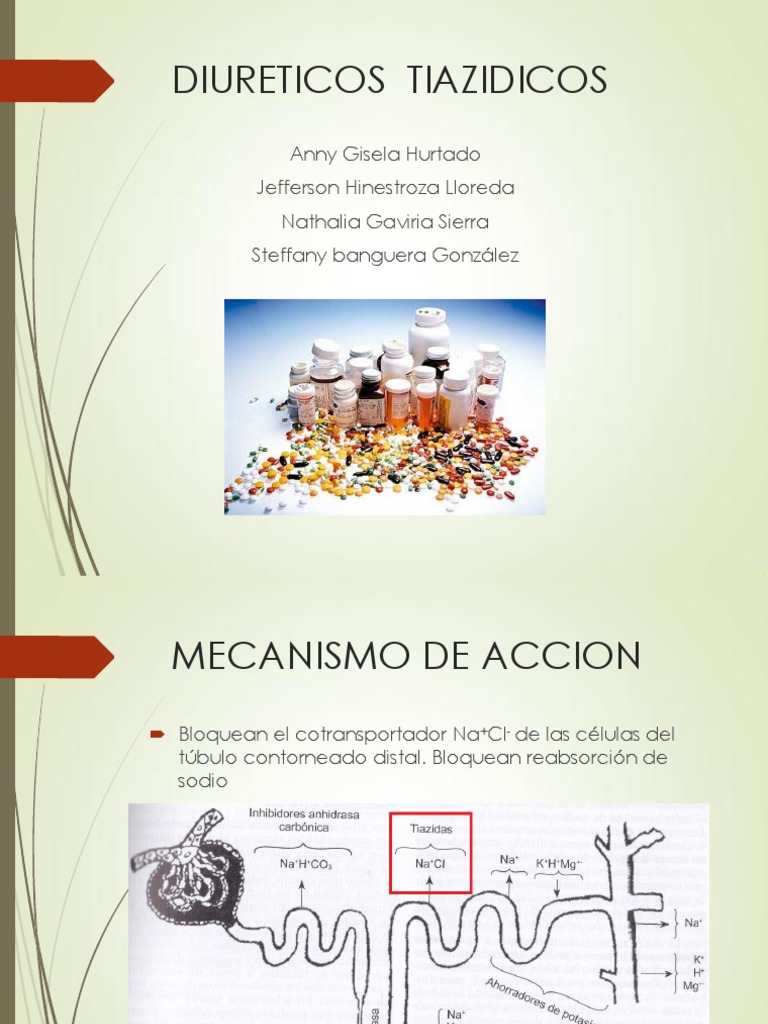 Mecanismo de Acción de Diuréticos Tiazídicos | PDF | Salud y bienestar