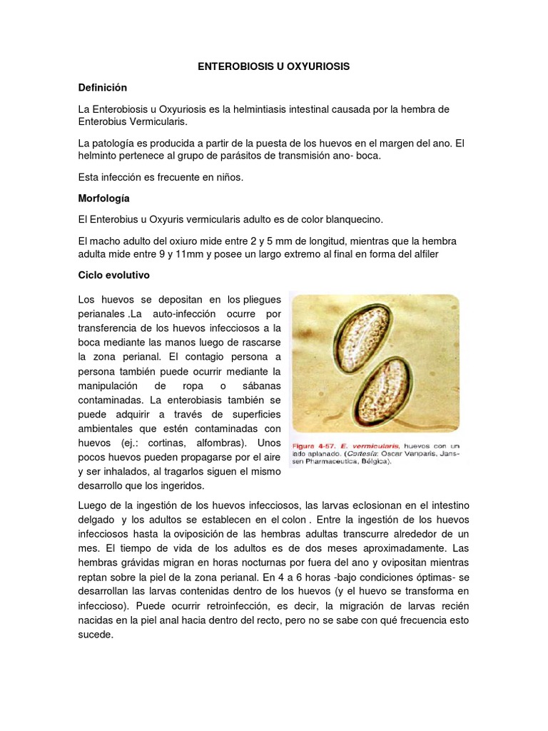 18.enterobius Vermicularis | PDF | Especialidades Medicas ...