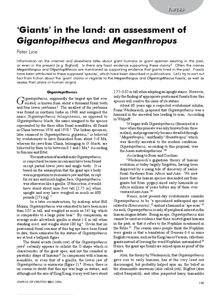 Giants' in The Land: An Assessment of Gigantopithecus and Meganthropus ...
