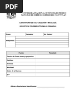 Citrobacter freundii: Características y Aislamiento | PDF | Las ...