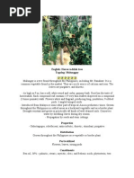 Makopa Fruit: Benefits and Uses | PDF | Plants | Nature