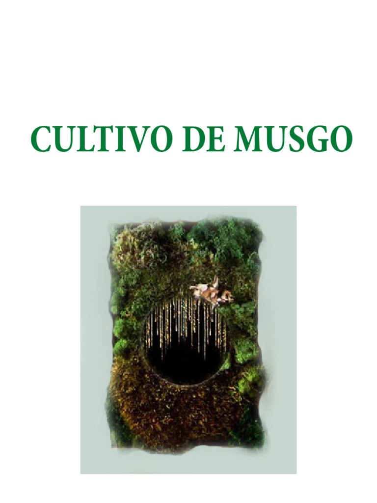 Metodo Aprendido: Cultivo Musgo | PDF | Musgo | Naturaleza