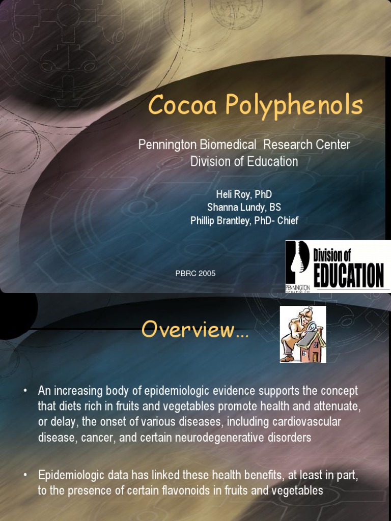 Cocoa Polyphenols | Flavonoid | Chocolate