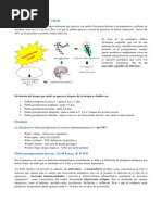 Qué Es La PAFI-1 | PDF