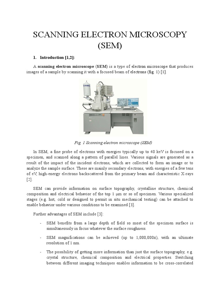 Scanning Electron Microscope | Download Free PDF | Scanning Electron ...