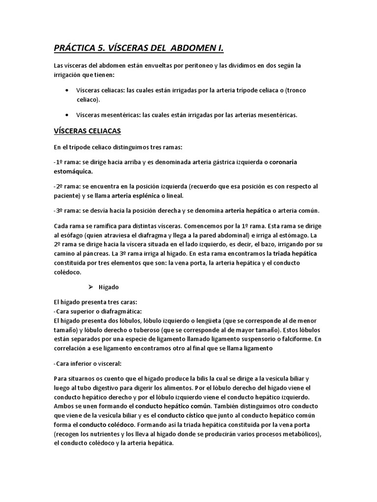 Vísceras Abdominales: Irrigación y Estructura | PDF | Hígado | Abdomen