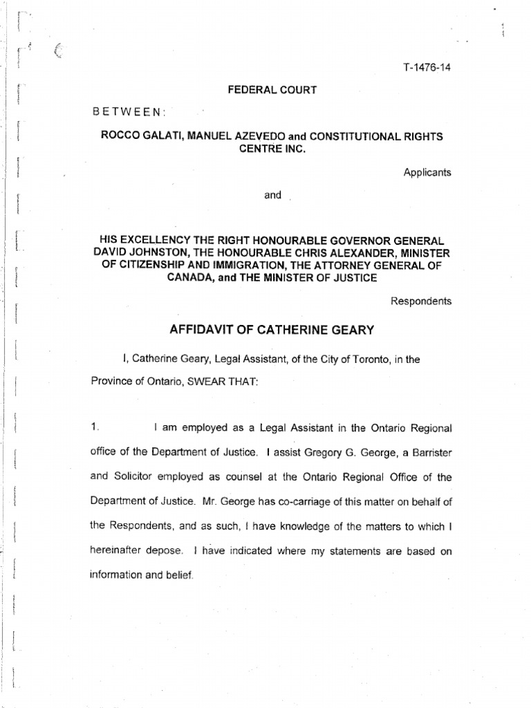 Government Affidavit | PDF