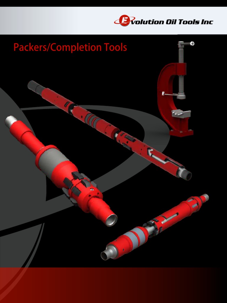 Packers and Completion Tools Brochure | PDF | Fuel Production | Petroleum