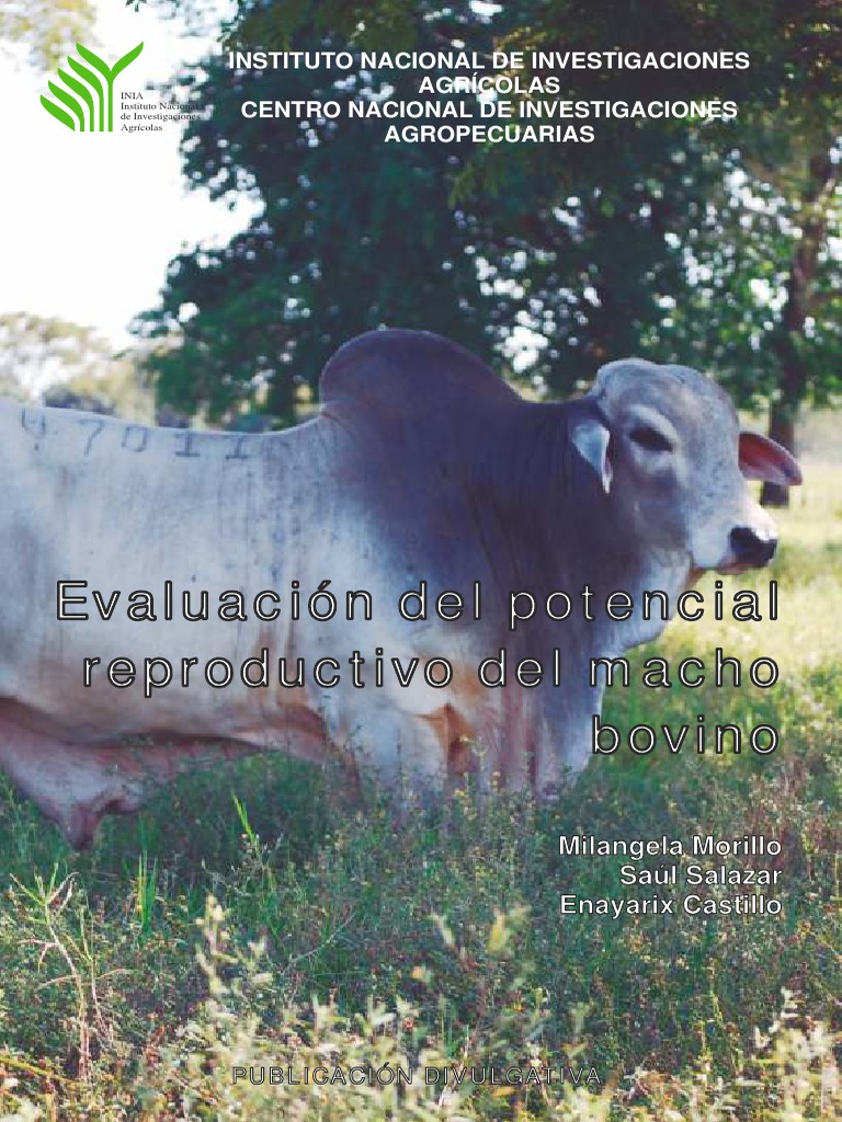 Evaluacion Del Macho Bovino Pdf Semen Vacas