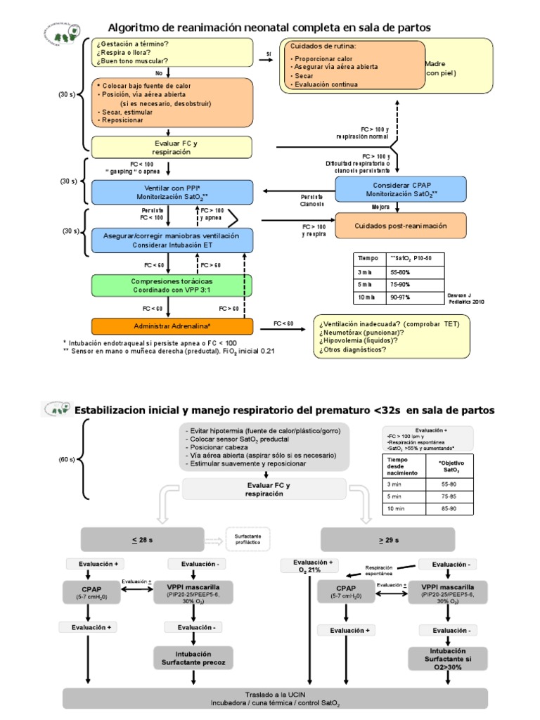 Algoritmo RCP Neonatal | PDF
