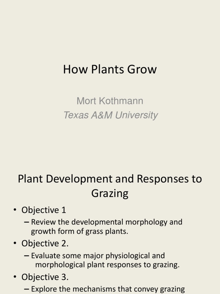 How Plants Grow: Mort Kothmann | PDF | Leaf | Root