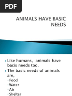Basic Needs of Animal Worksheet For Grade 1-3 | PDF | Wellness