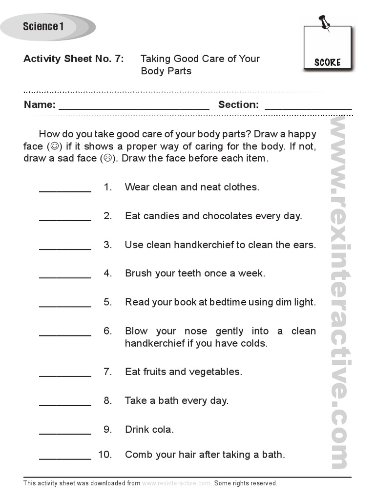 Caring for Your Body Worksheet | PDF
